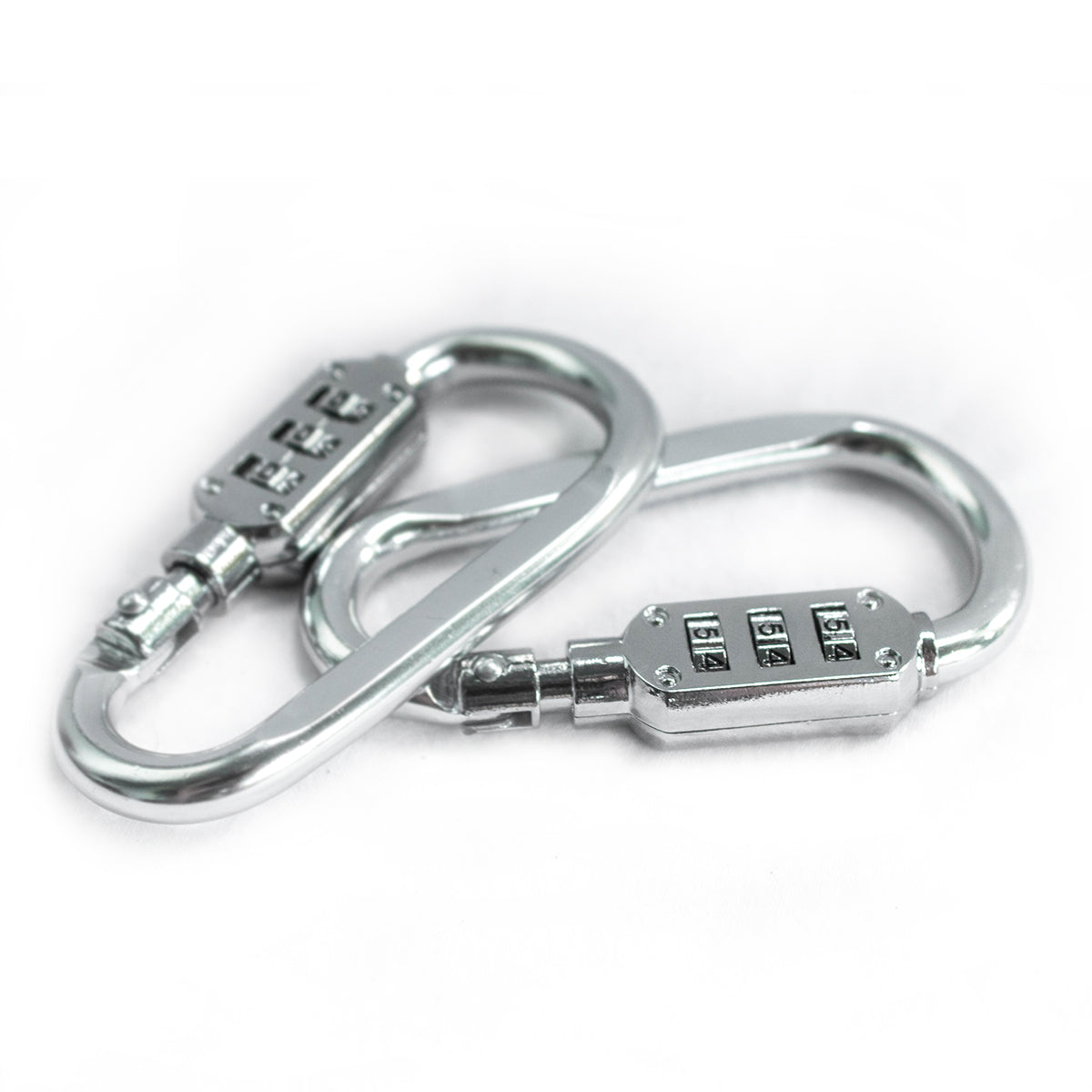 Combination Carabiner – TravelArmorCase